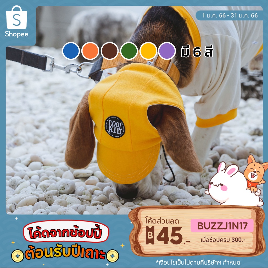 Clawset.bkk, ร้านค้าออนไลน์ | Shopee Thailand