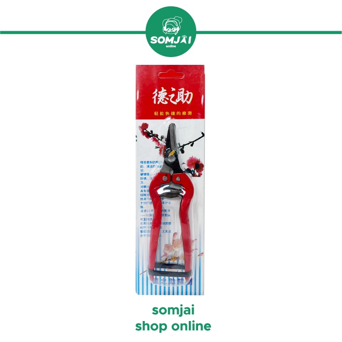 Somjai Selected ชุดใส่เครื่องปรุง 4่ ช่อง - khunyai_shop - ThaiPick