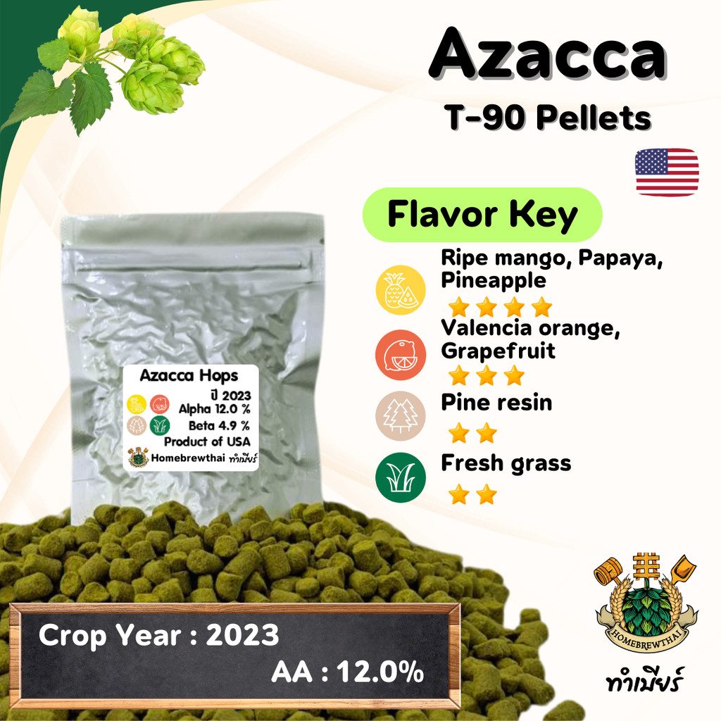 azacca ถูกที่สุด พร้อมโปรโมชั่น พ.ค. 2025 | BigGoเช็คราคาง่ายๆ