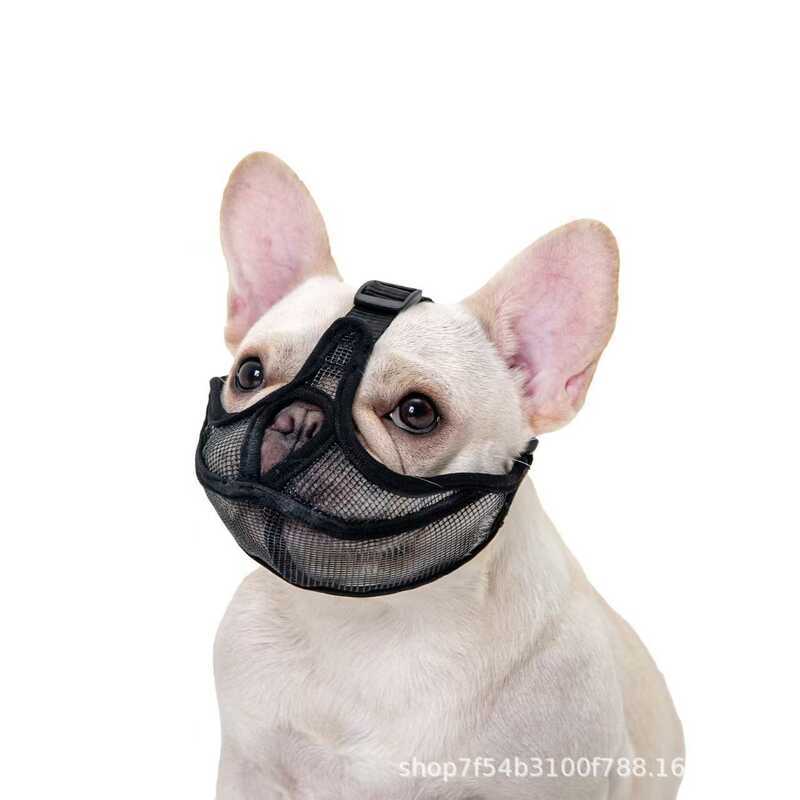eating mask ถูกที่สุด พร้อมโปรโมชั่น ม.ค. 2026 | BigGoเช็คราคาง่ายๆ