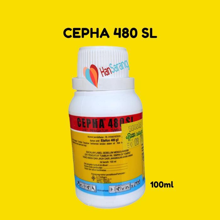 Cepha ถูกที่สุด พร้อมโปรโมชั่น ก.พ. 2026 | BigGoเช็คราคาง่ายๆ