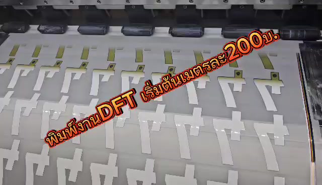 พิมพ์DFT/DTF ปริ้นท์DFT/DTF ฟิล์มลอกร้อน หน้ากว้าง 60x100cm พิมพ์แผ่นรีดติดเสื้อ ขนาดA3, A4 รีด ...