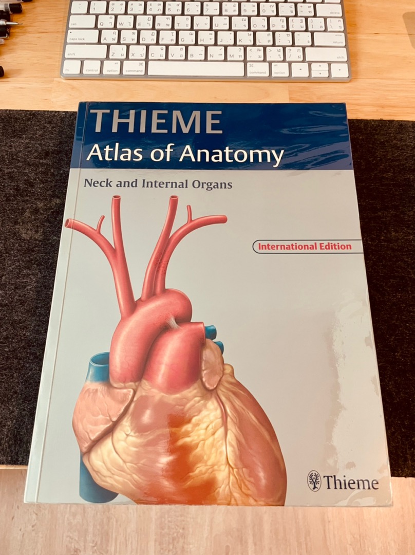 Thieme Atlas Of Anatomy: Neck And Internal Organs Udo Schumacher | atelier-yuwa.ciao.jp
