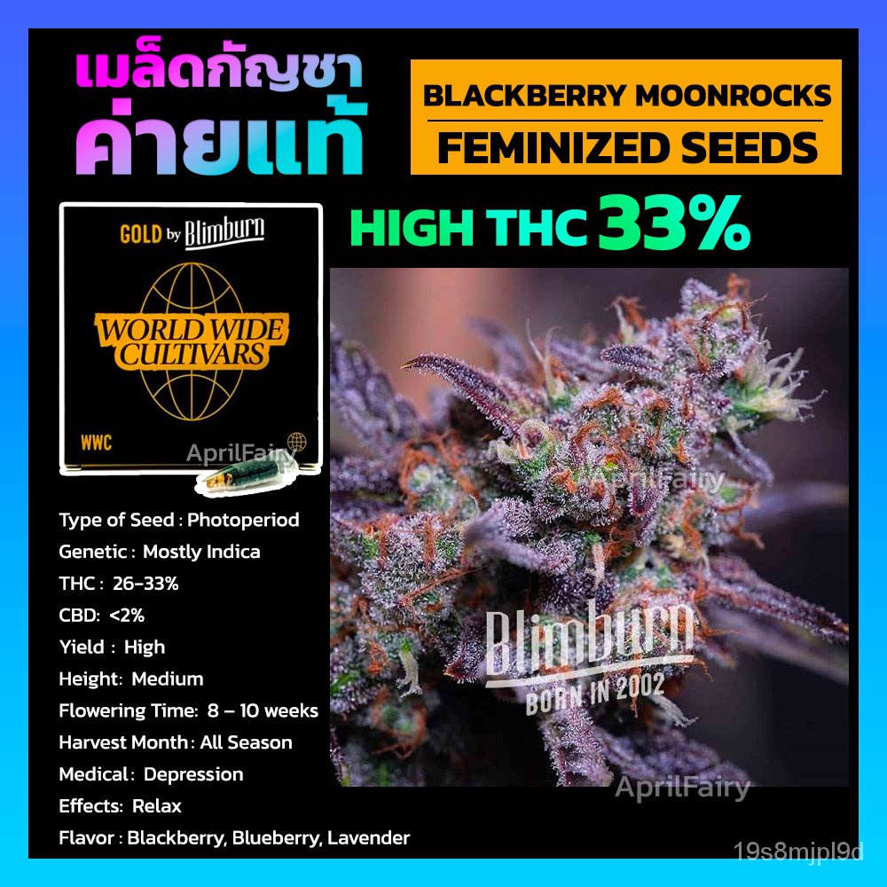 Feminized ถูกที่สุด พร้อมโปรโมชั่น ก.ย. 2023|BigGoเช็คราคาง่ายๆ
