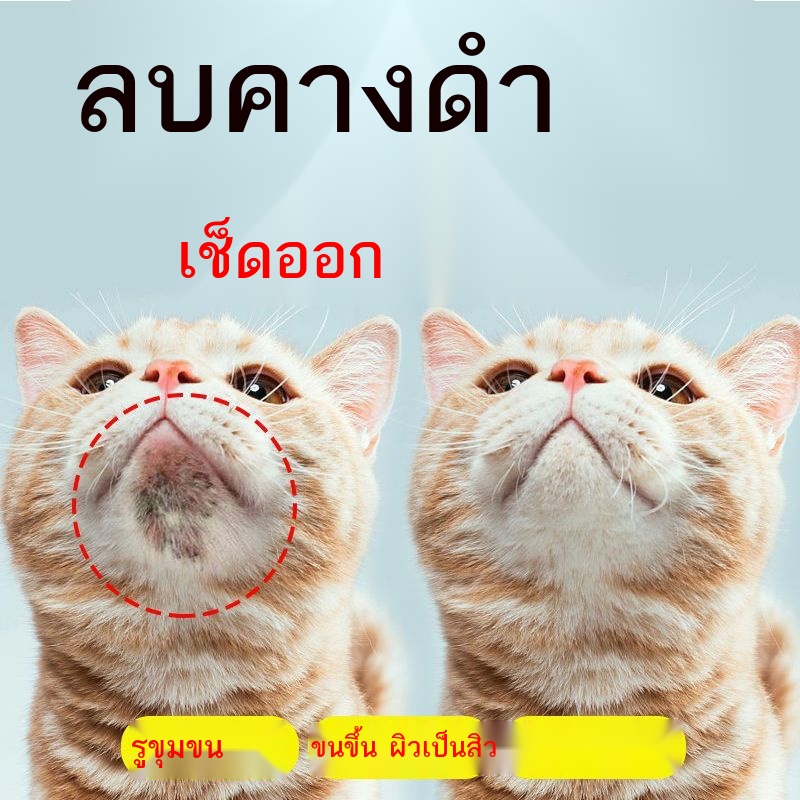 อาหารแมว + ฟรีซดราย + ของเล่นแมวCat Black Chin Sterilization Mite ...