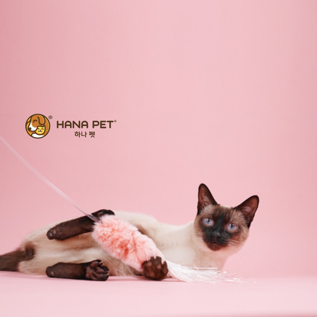 (สินค้า Grade B) Hana Pet ไม้ตกแมวรุ่น Aurora Oden (สีชมพู) ของเล่นน้องแมว นุ่มนิ่ม เล่นสนุก ทำ ...