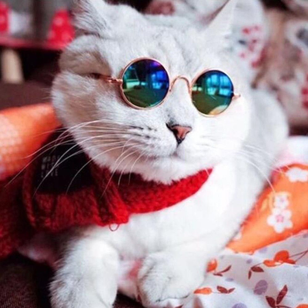 Ready Stock EasyMoGo Cute Pet Cat Glasses UV Sunglasses Protection Eye ...