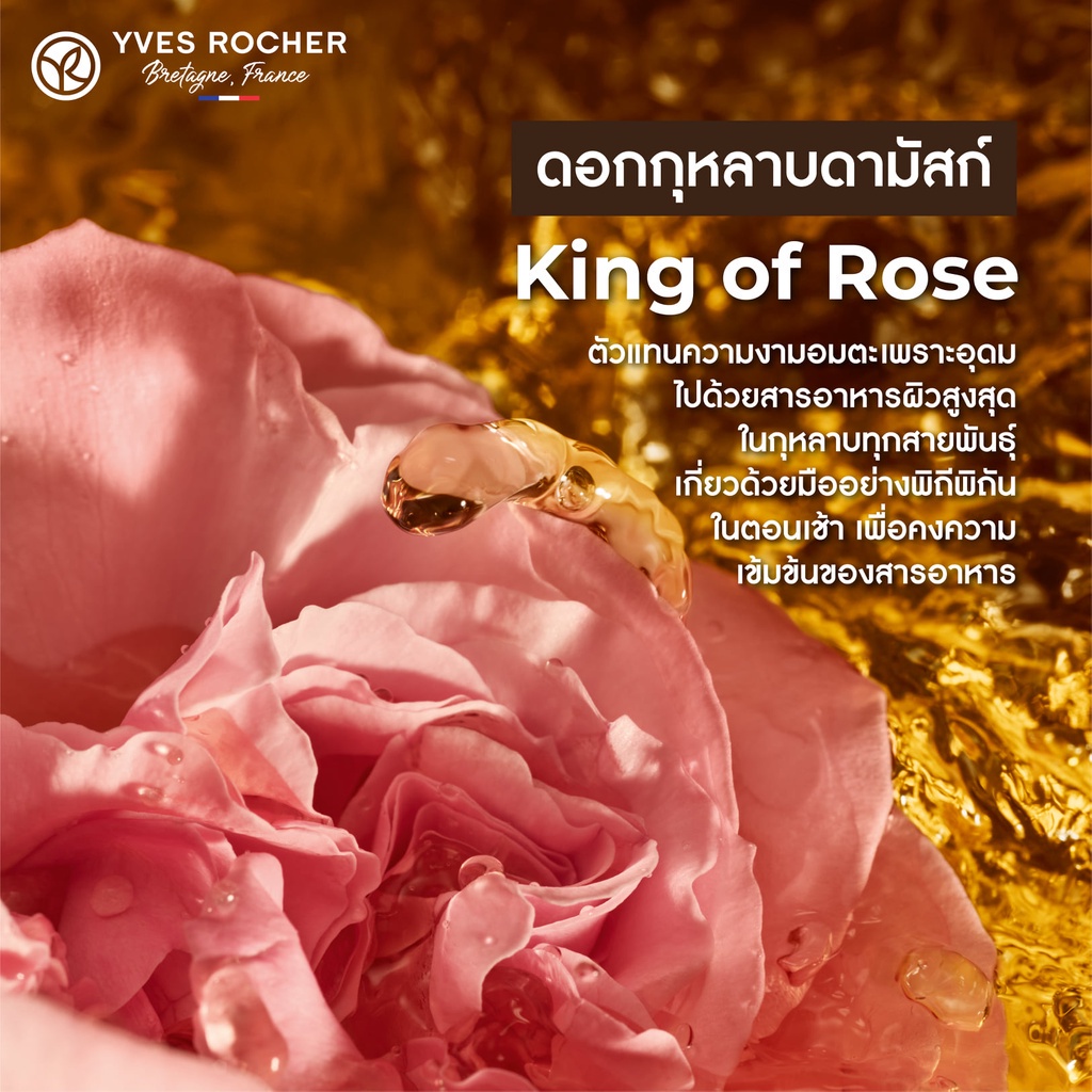 Yves Rocher Riche Creme Comforting Anti-Wrinkle Night Cream 50 ml ...