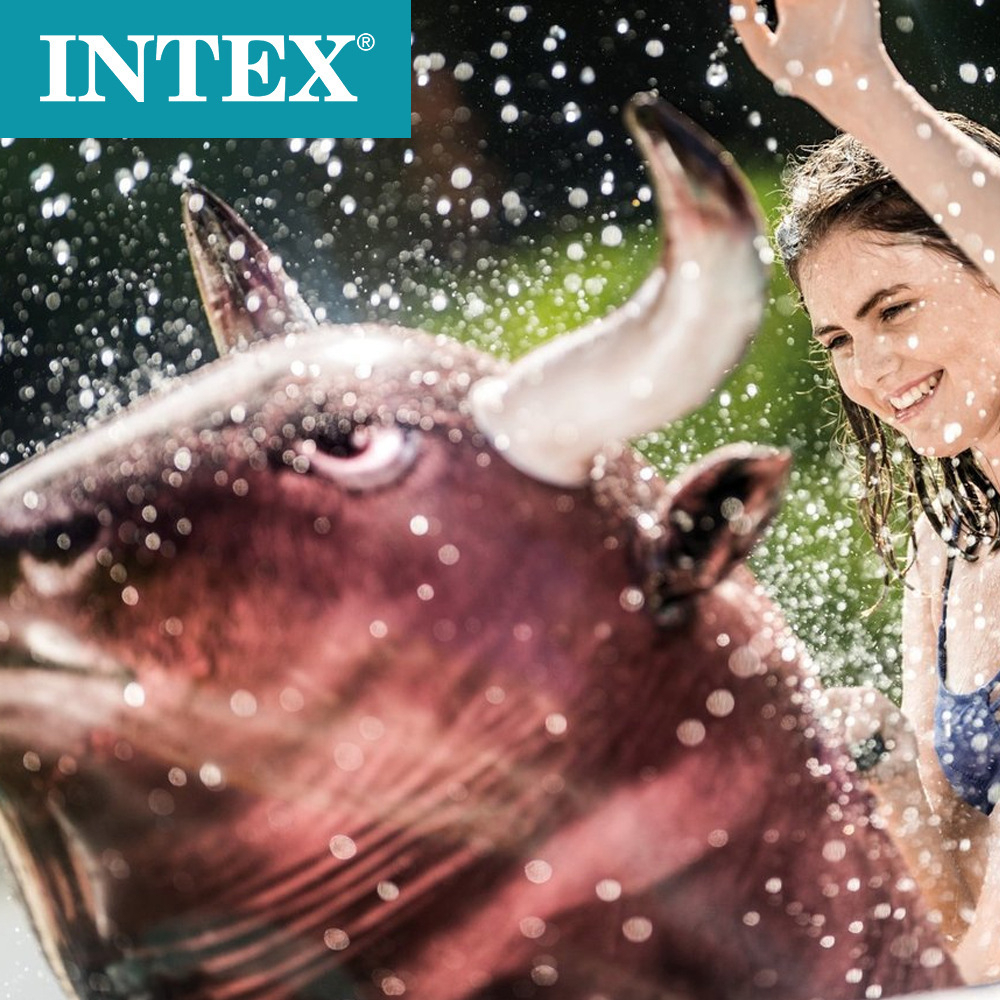 INTEX แพเป่าลม Inflatabull แพยางเป่าลม แพยาง รุ่น 56280 ...