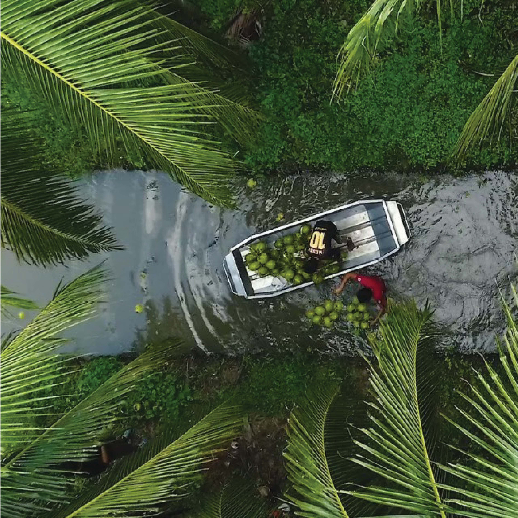 Coco Power ยกลัง 24 ขวด น้ำมะพร้าวน้ำหอม 100 ตรา โคโคพาวเวอร์ ขนาด 270 ...