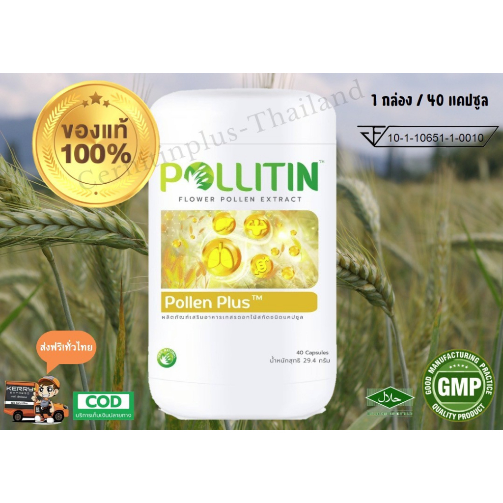 Mixed Pollen มิกซ์ พอลเลน ผลิตภัณฑ์ Pollitin รับประกันของแท้100 ...