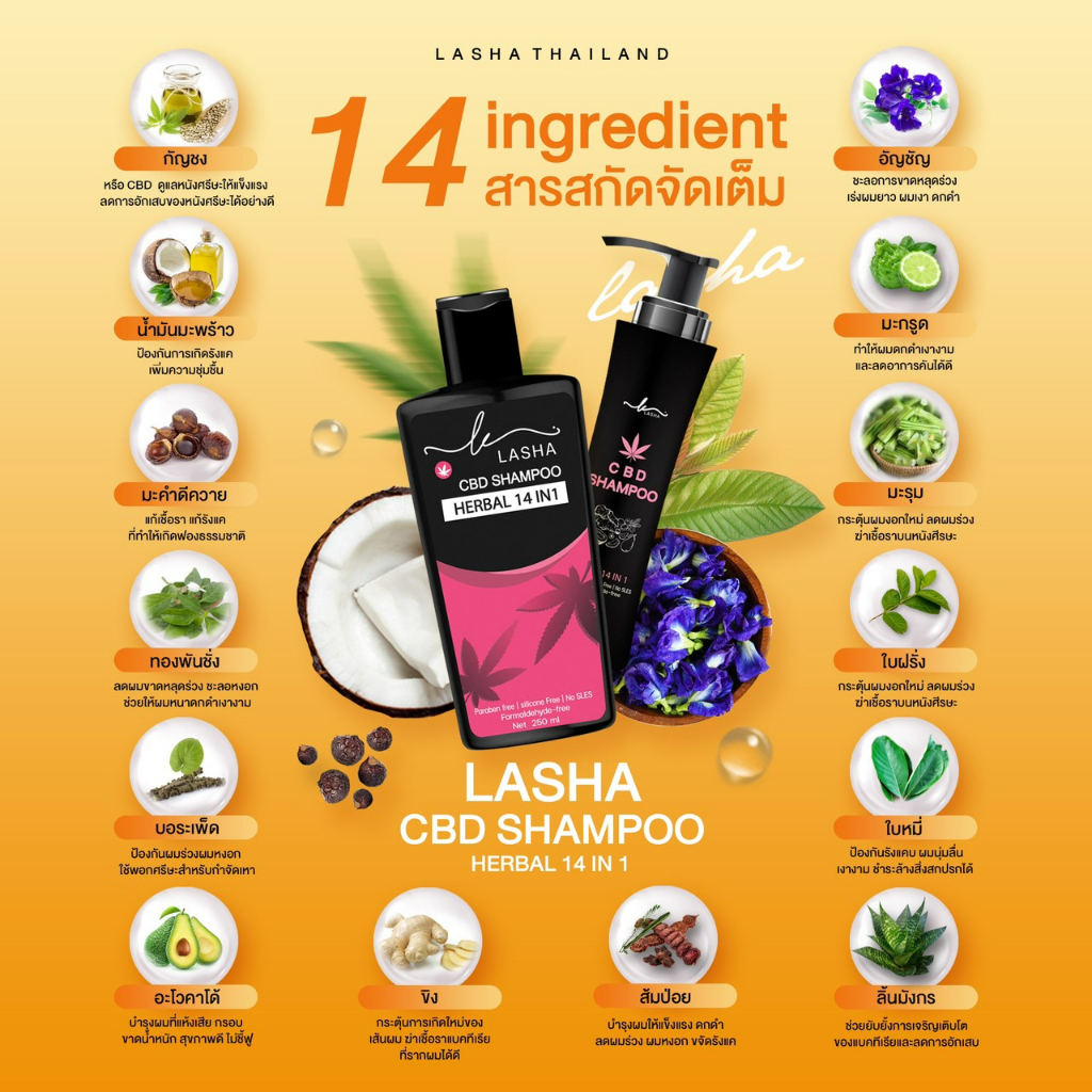 แชมพูลดผมร่วง บำรุงหนังศรีษะ ลาซ่าส์ Lasha - lasha_official - ThaiPick