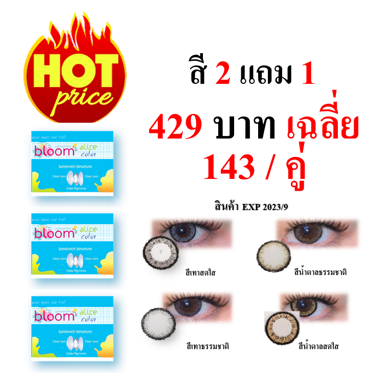 bloom ราคาพิเศษ | ซื้อออนไลน์ที่ Shopee ส่งฟรี*ทั่วไทย!