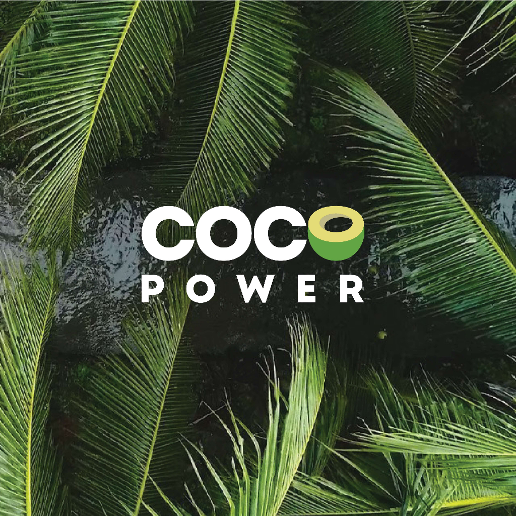 Coco Power ยกลัง 24 ขวด น้ำมะพร้าวน้ำหอม 100 ตรา โคโคพาวเวอร์ ขนาด 270 มล - cocopower_official ...
