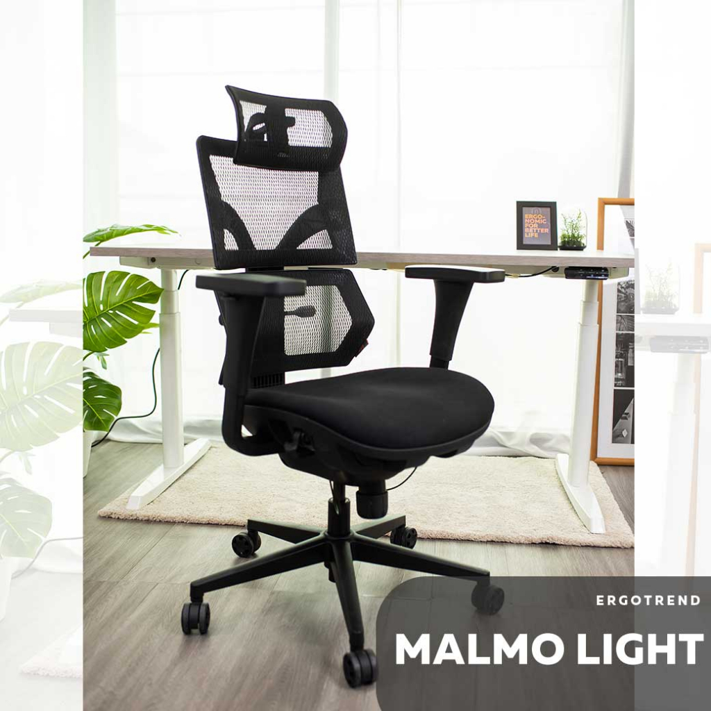 Ergotrend เก้าอี้เพื่อสุขภาพเออร์โกเทรน รุ่น Malmo Light | Shopee Thailand