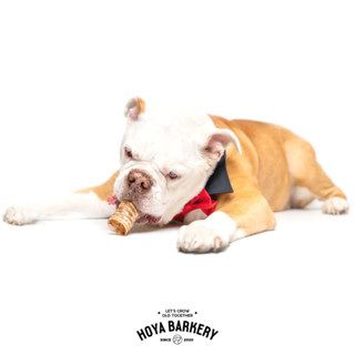 Hoya Barkery Beef Trachea S Dog Treat | Shopee Thailand