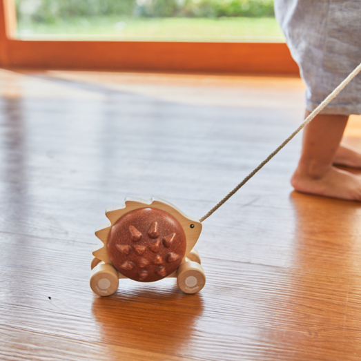 PlanToys PULL-ALONG HEDGEHOG - BROWN ของเล่นไม้ เม่นลากจูง สีน้ำตาล ประเภทผลักและลากจูง ของเล่น ...