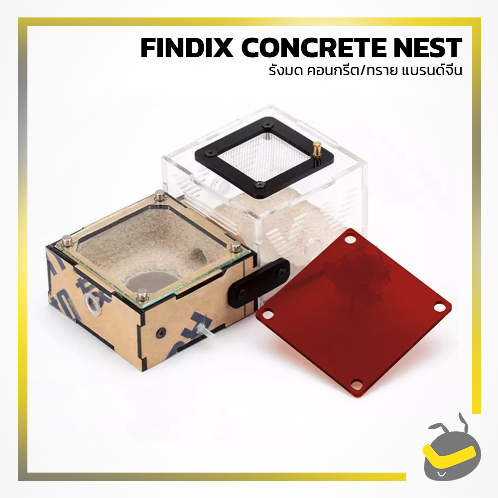(ของแท้ นำเข้า) รังมด คอนกรีต/ทราย ยี่ห้อฟินดิกซ์ (Findix concrete/sand ...