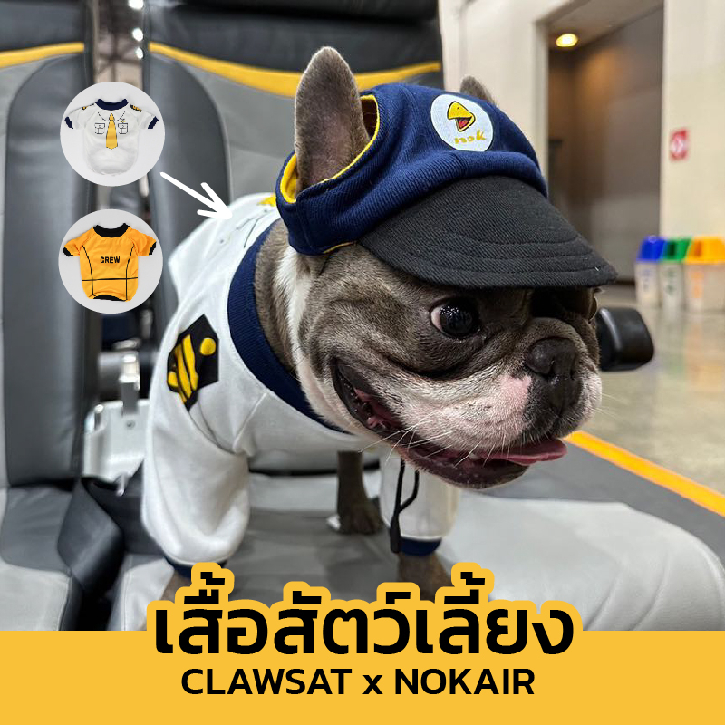 Clawset x Nok Air เสื้อกัปตัน เสื้อ crew เสื้อหมา เสื้อแมว รุ่นลิมิเต็ด จำนวนจำกัด Clawset.BKK ...