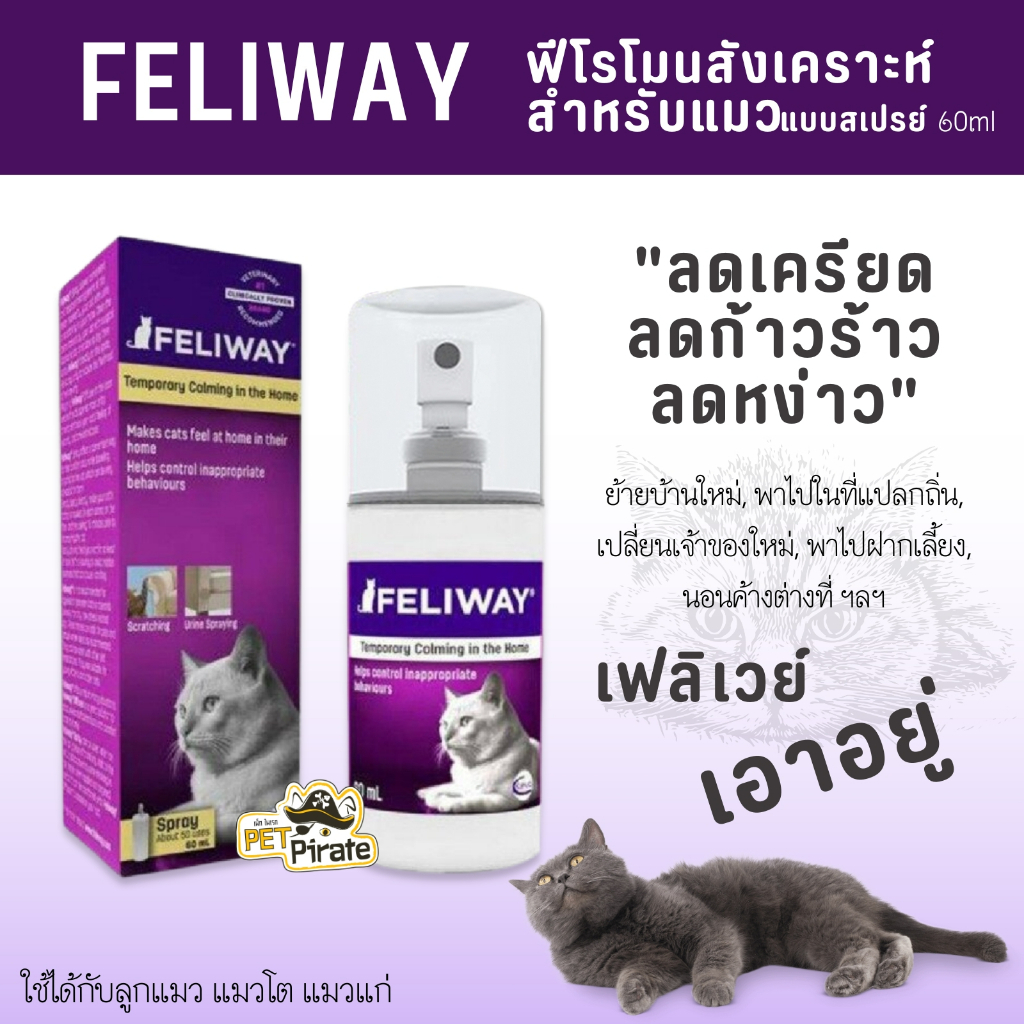 Feliway สเปรย์ฟีโรโมนสังเคราะห์สำหรับแมว ปรับเปลี่ยนพฤติกรรมที่ไม่ ...