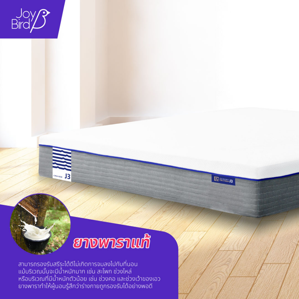 ส่งฟรี Zcoopy ที่นอนยางพาราธรรมชาติแท้100 ไร้แรงสั่นสะเทือน นุ่มสบาย ไม่ร้อน ZCOOPY J3 Cruiser ...