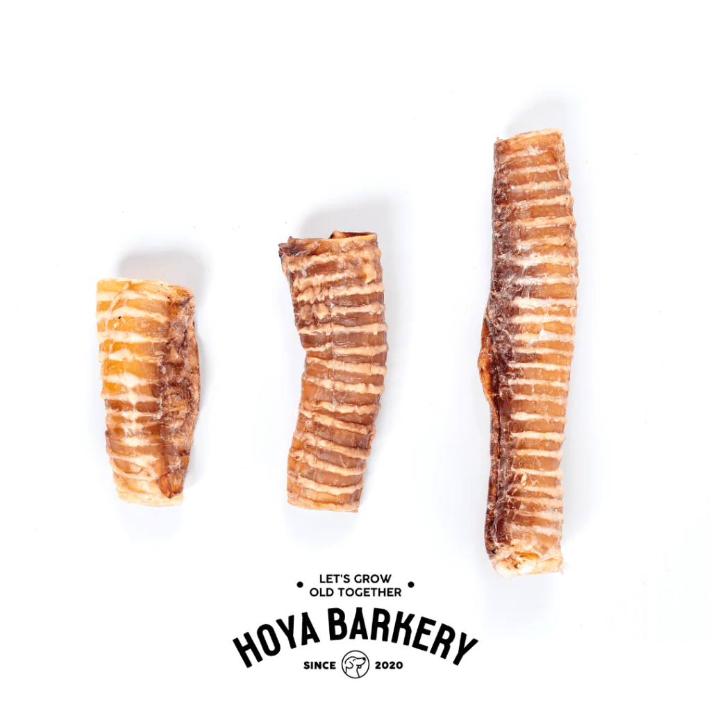 Hoya Barkery Beef Trachea S Dog Treat | Shopee Thailand