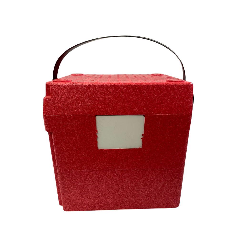 CARRY BOX ( RED,GREEN,BLUE ) 15L | Shopee Thailand