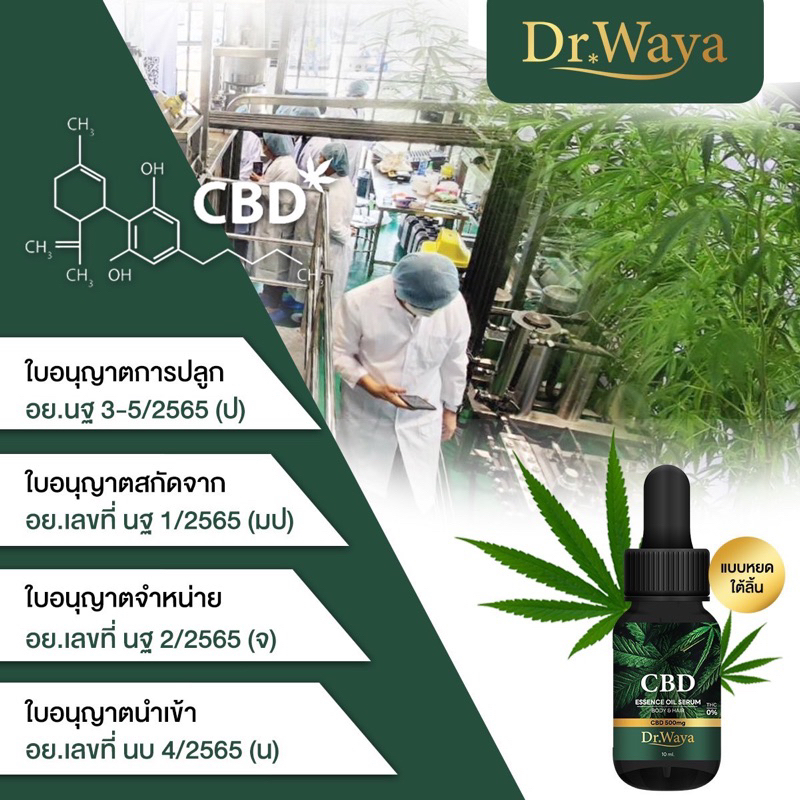 5 ขวด ส่งฟรี CBD 500mg Hemp Full Spectrum Oil Dr.Ozz - dr.ozz.thailand - ThaiPick