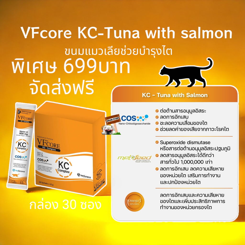 ส่งฟรี VFcore KC Complex (1กล่อง30ซอง) exp.022024 ช่วยบำรุงไตแมว kidney ...