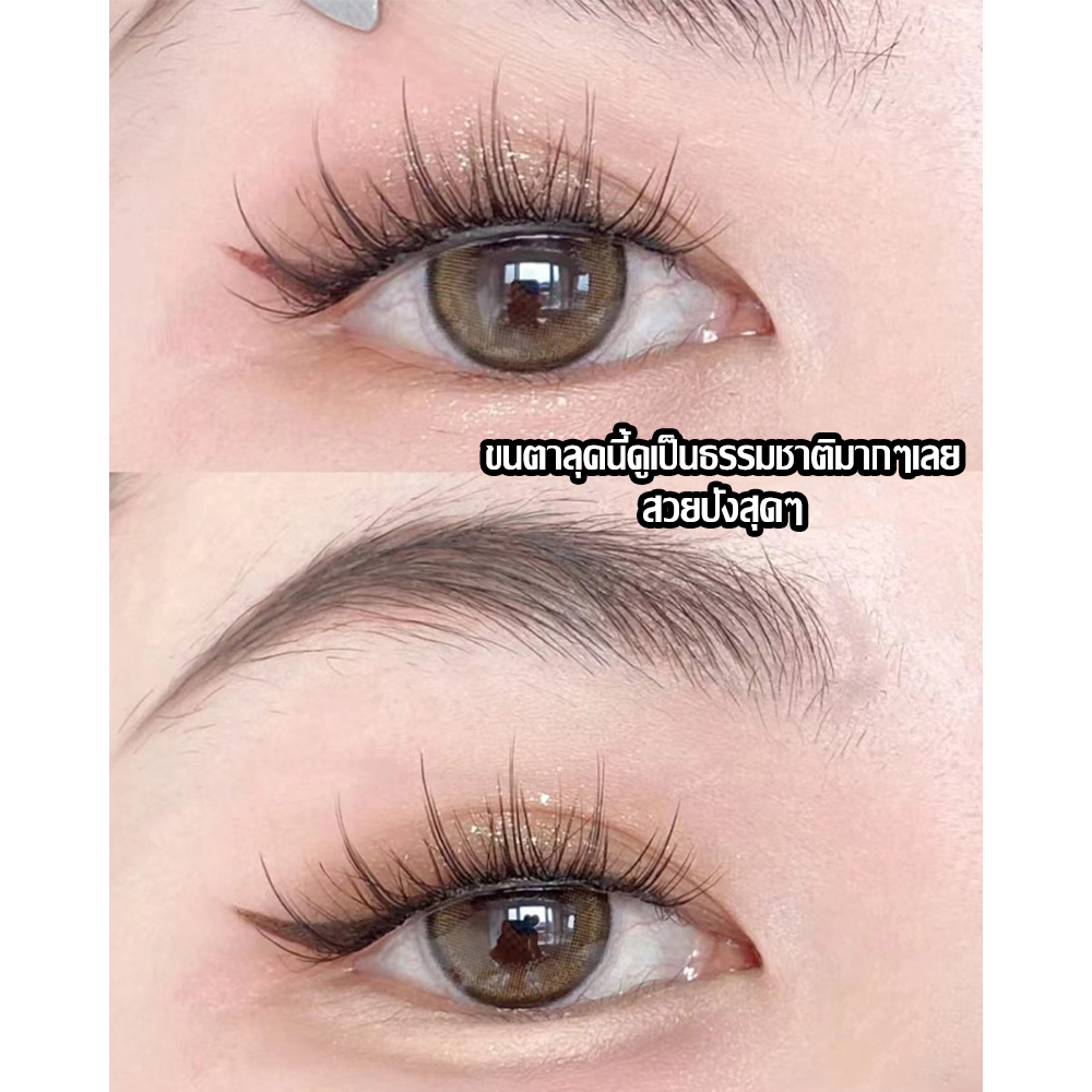 ISABELLA พร้อมส่ง ขนตาปลอมแบบเซท แบบช่อขนตา นิ่ม ขนตาธรรมชาติ ขนตาปลอม ...