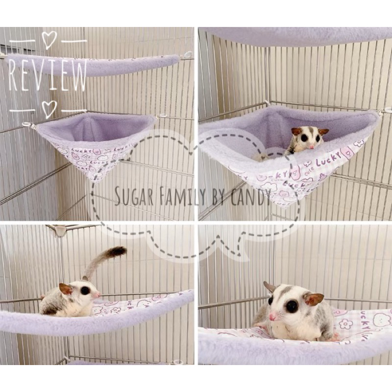 Sugar Familyรังนอนทรงเปลญวนพร้อมผ้าปีนสำหรับสัตว์เล็กชูก้า กระรอก บุชเบ ...