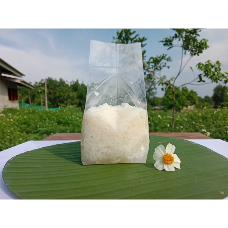 Kitty&Copter, ร้านค้าออนไลน์ | Shopee Thailand