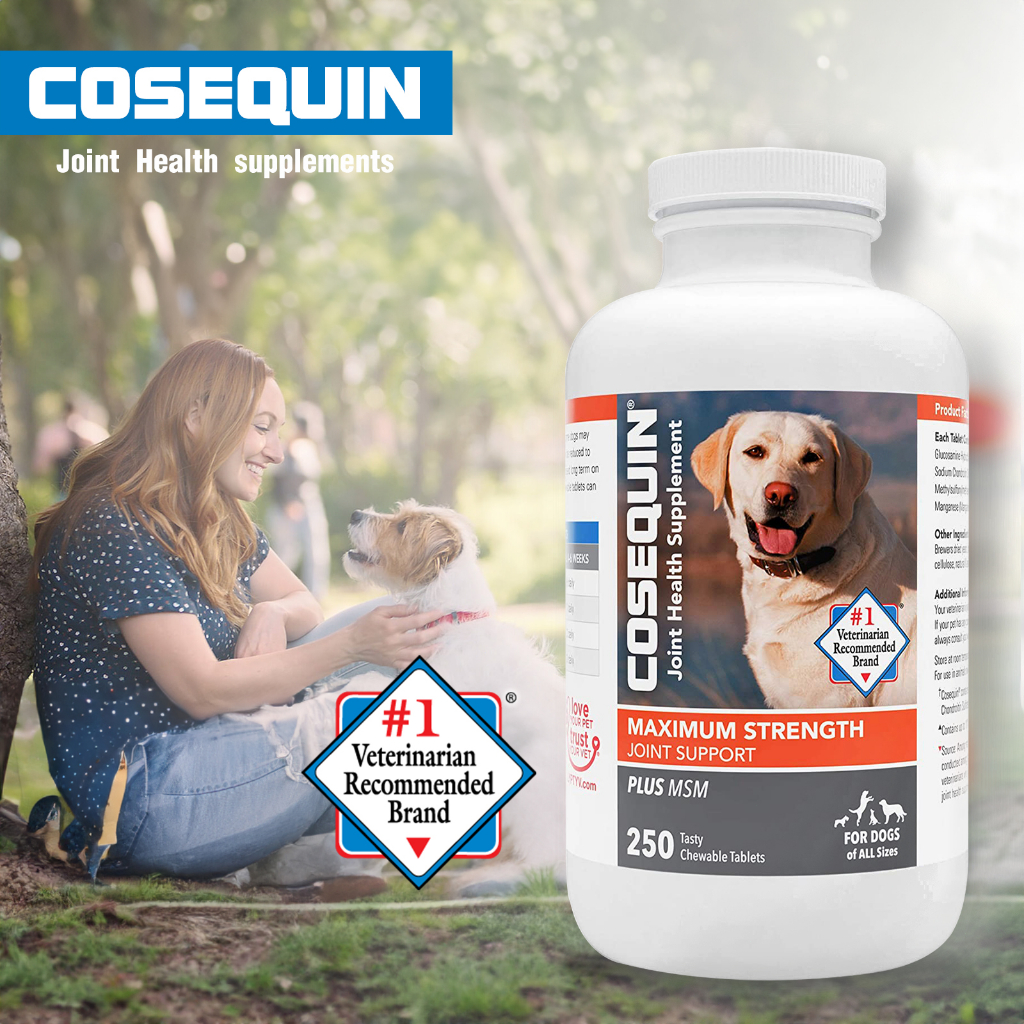 Cosequin ถูกที่สุด พร้อมโปรโมชั่น ก.พ. 2024|BigGoเช็คราคาง่ายๆ