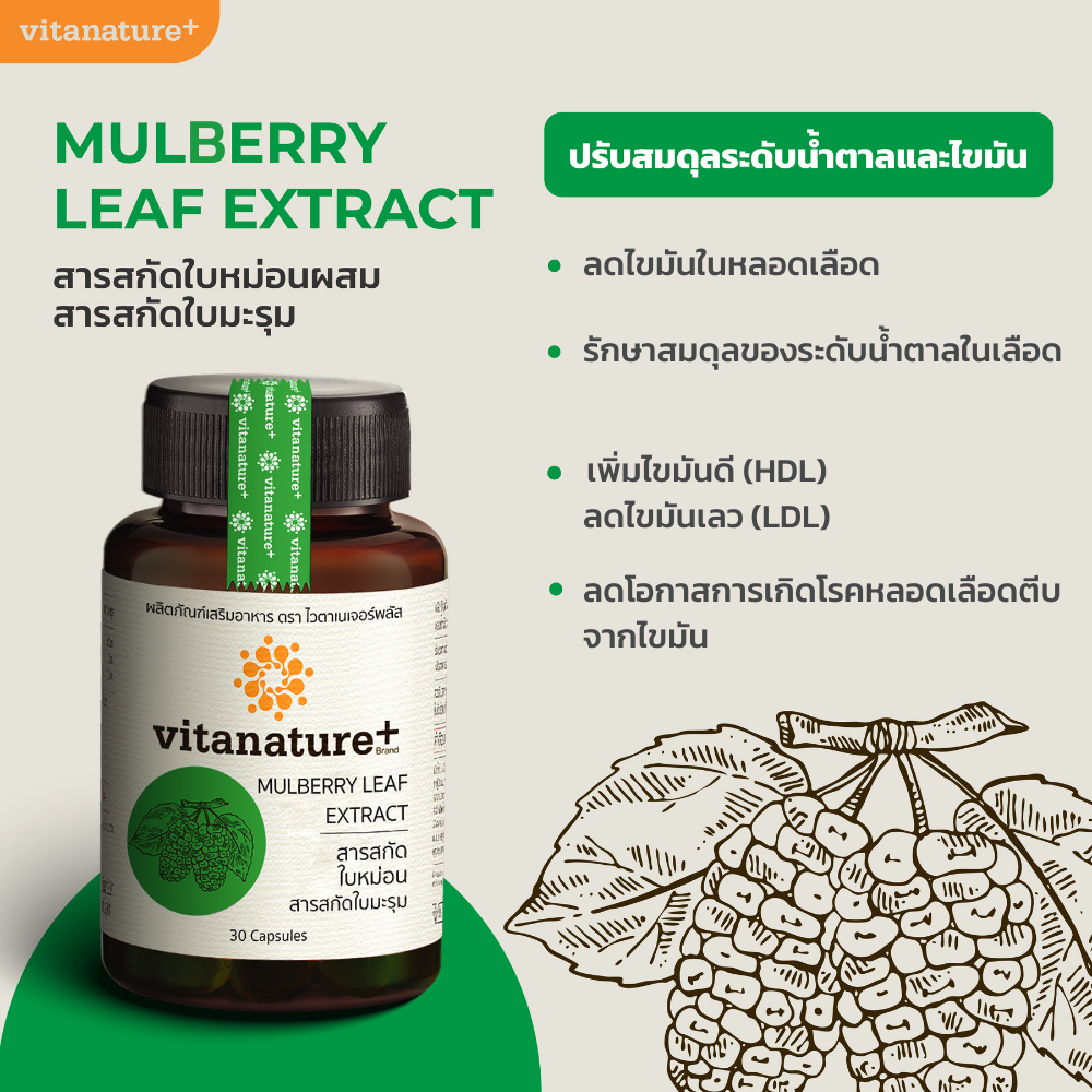 Vitanature Mulberry Leaf Extract with Moringa Leaf Extract 7 กระปุก ไว ...