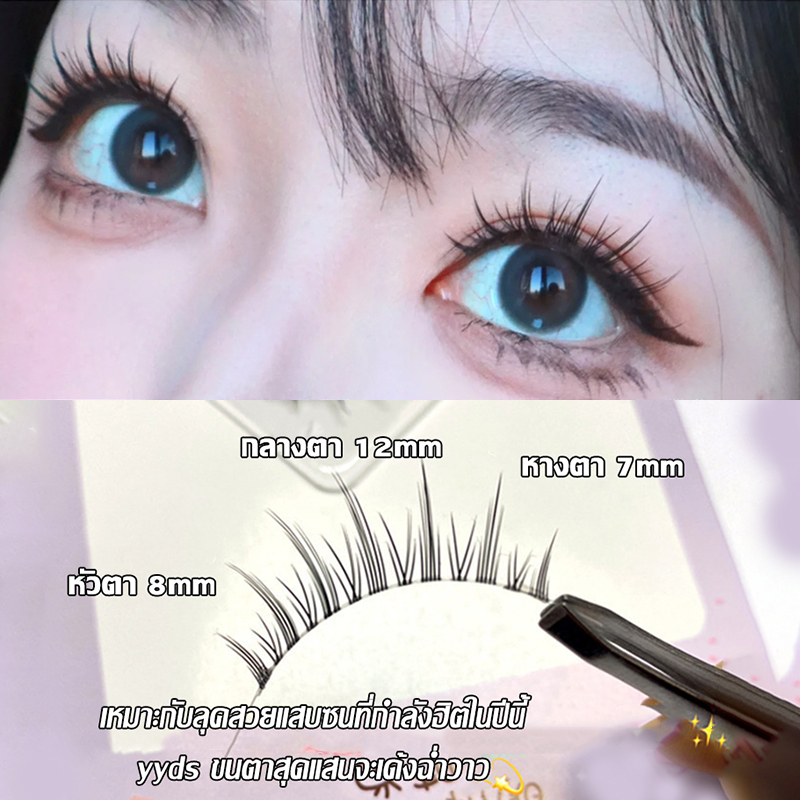 ISABELLA พร้อมส่ง ขนตาปลอมแบบเซท แบบช่อขนตา นิ่ม ขนตาธรรมชาติ ขนตาปลอม ...