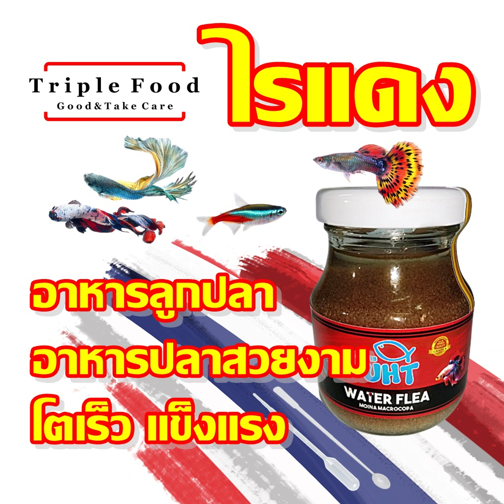 Triple Food Sales, ร้านค้าออนไลน์ | Shopee Thailand