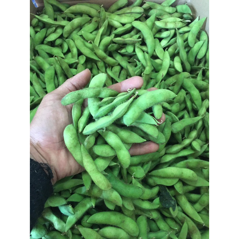 ถั่วแระญี่ปุ่นดิบ ถูกที่สุด พร้อมโปรโมชั่น ก.พ. 2024|BigGoเช็คราคาง่ายๆ