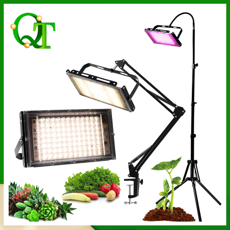 Quantum Light, ร้านค้าออนไลน์ | Shopee Thailand