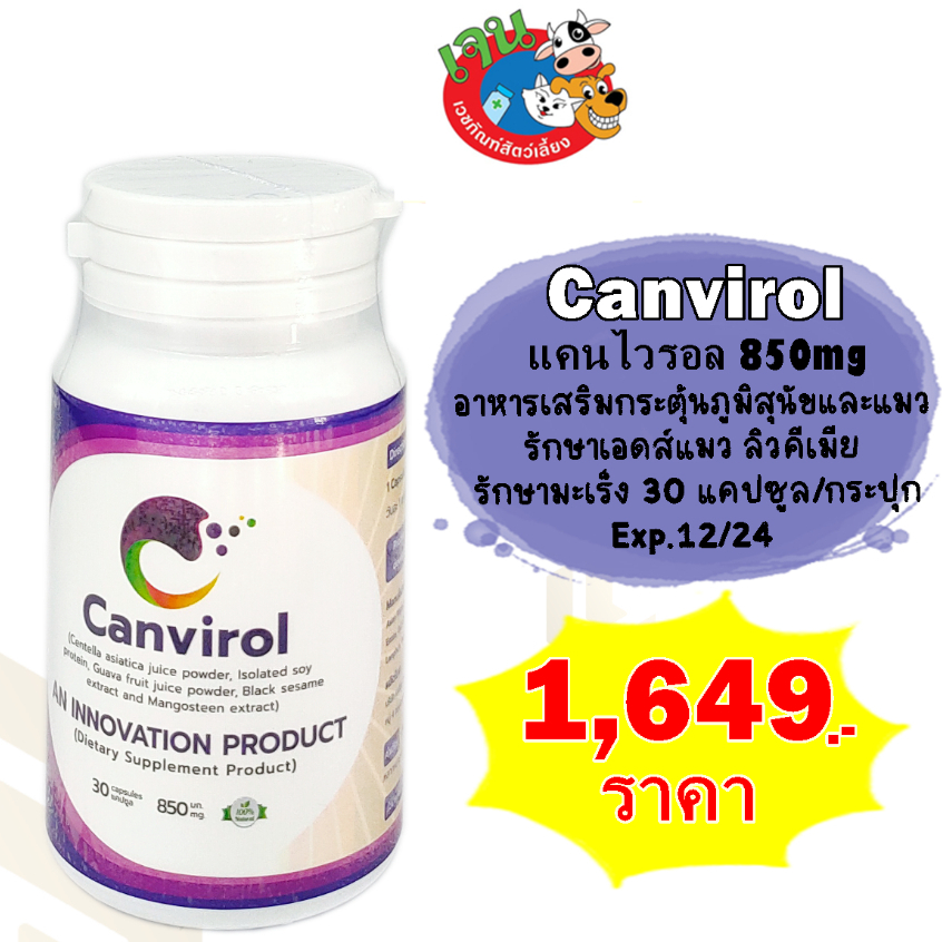 รักษามะเร็งสุนัข ถูกที่สุด พร้อมโปรโมชั่น เม.ย. 2024|BigGoเช็คราคาง่ายๆ