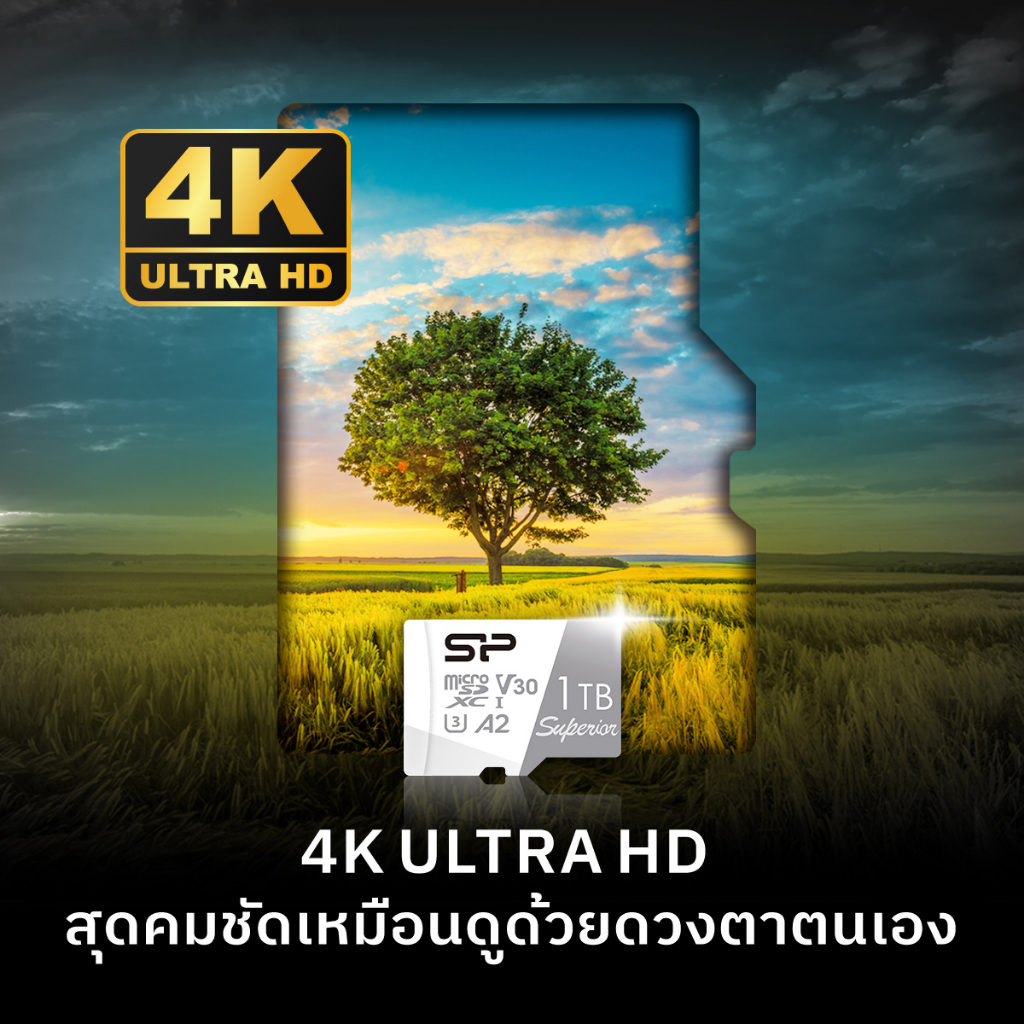Silicon Power High Speed MicroSD Card รุ่น Superior A2 microSDXC UHS-I ...