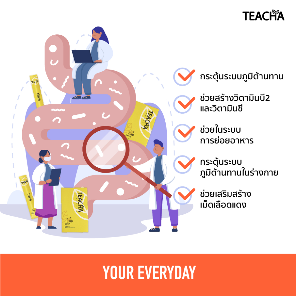 TEACHA (ทีชะ) Buy 2 Boxes get free TEACHA shake bottle 1 unit ซื้อ 2 ...