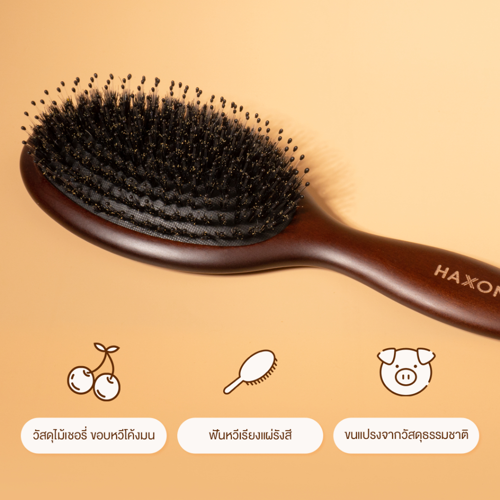 Haxon Cherry Boar-Bristle Hair Brush หวีขนหมูป่าแท้ ด้ามไม้เชอรี่ ขน ...