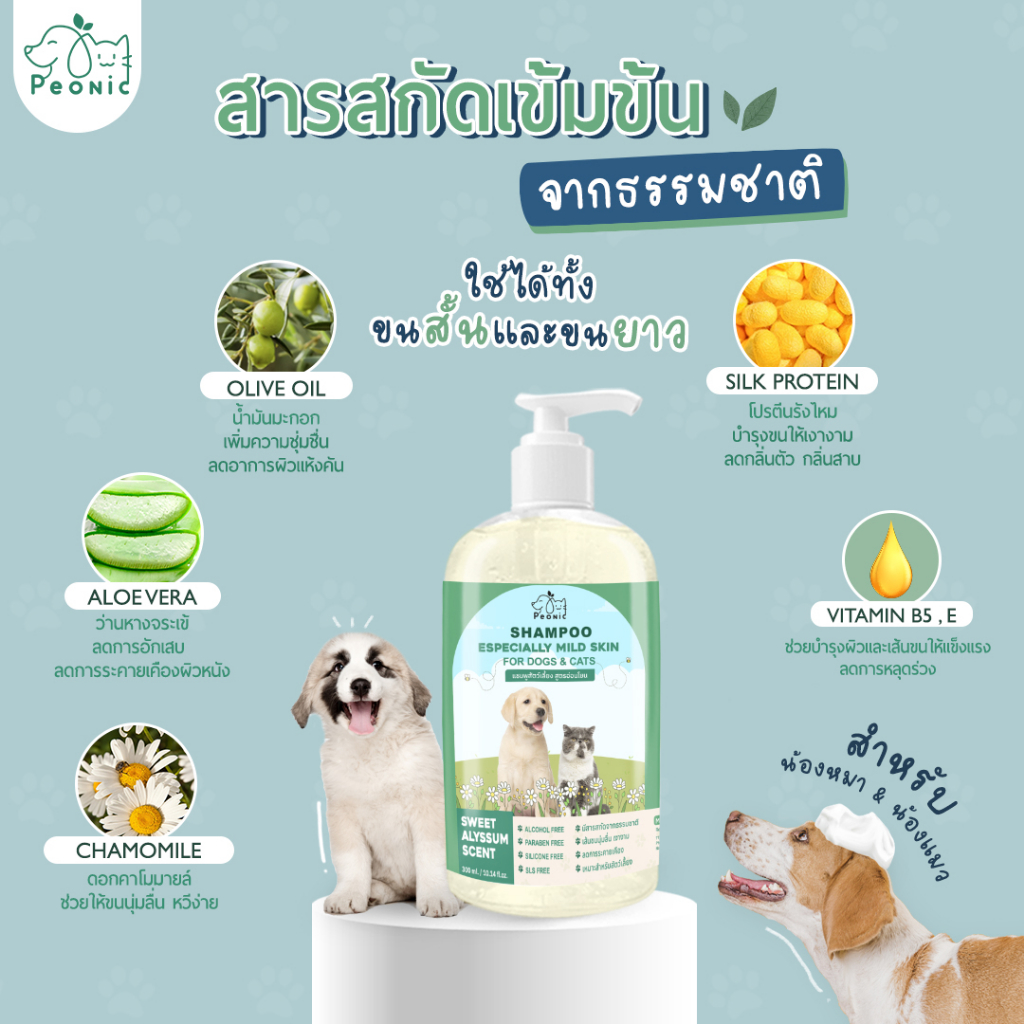 Peonic ถูกที่สุด พร้อมโปรโมชั่น ต.ค. 2023|BigGoเช็คราคาง่ายๆ