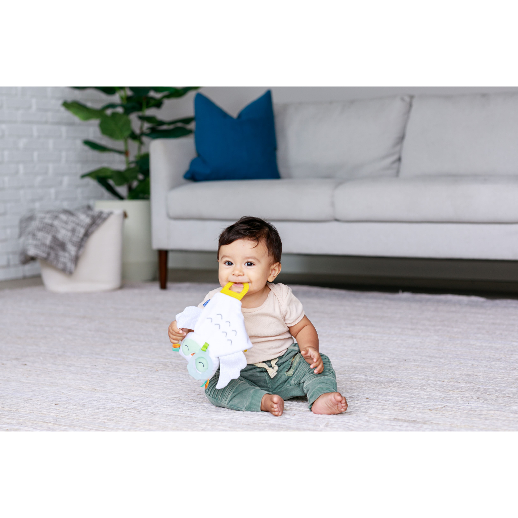 Infantino Glow-in-the-Dark Cuddle Teether Owl - ยางกัดน่ากอดลายนกฮูก ...