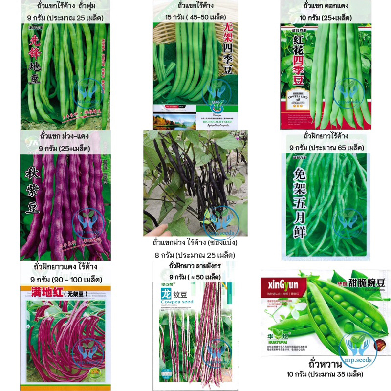 ถั่วแขกพุ่ม ถูกที่สุด พร้อมโปรโมชั่น ก.ย. 2025 | BigGoเช็คราคาง่ายๆ