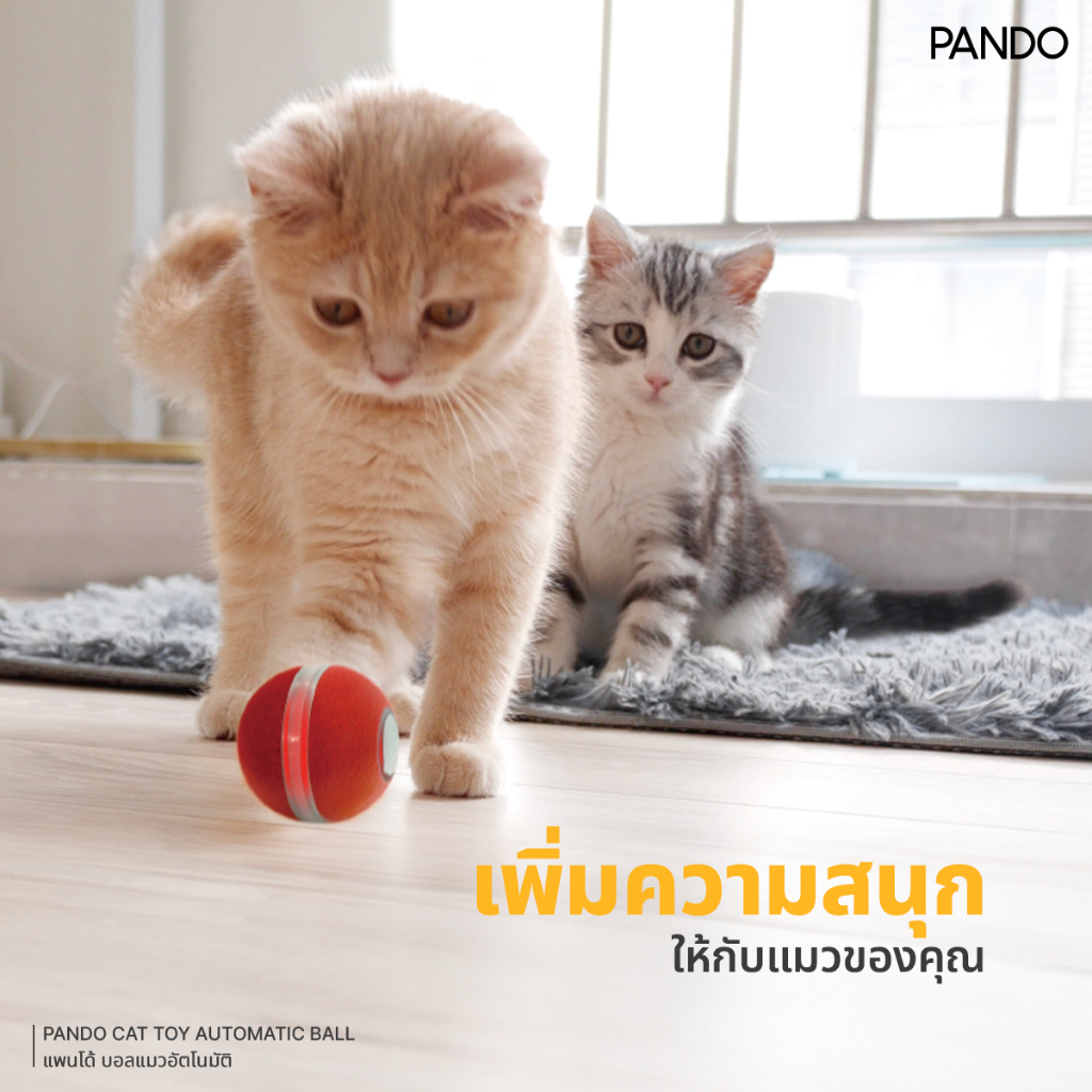 PANDO Cat Toy Automatic Ball แพนโด้ บอลแมวอัตโนมัติ - pando.official ...