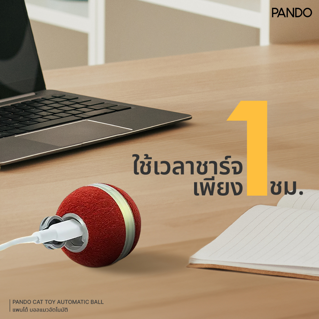 PANDO Cat Toy Automatic Ball แพนโด้ บอลแมวอัตโนมัติ - pando.official ...