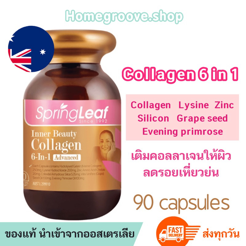 คอลลาเจน Springleaf Inner Beauty Collagen 6in1 คอลลาเจนนางงาม คอลลาเจน ...