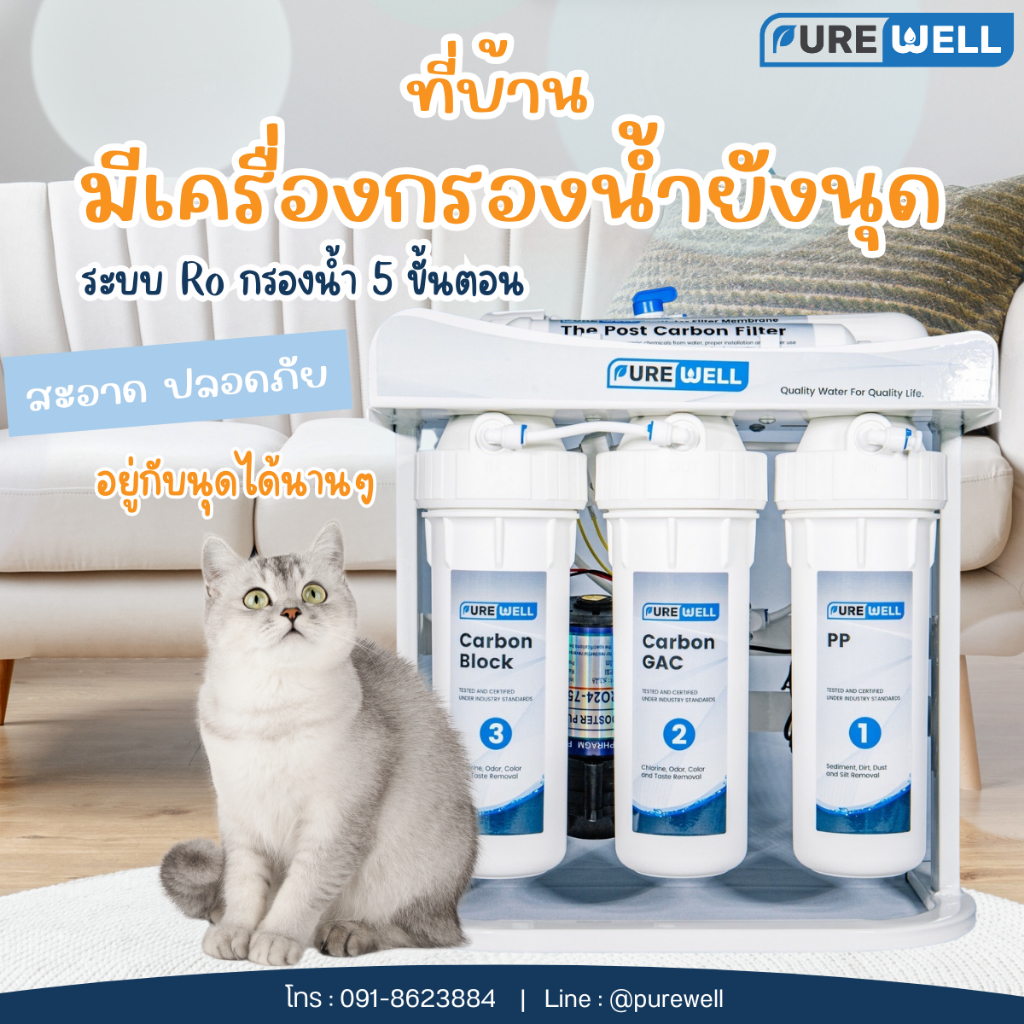 purewell, ร้านค้าออนไลน์ | Shopee Thailand