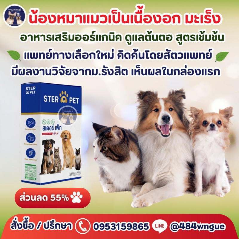 คีโม ถูกที่สุด พร้อมโปรโมชั่น มี.ค. 2025 | BigGoเช็คราคาง่ายๆ